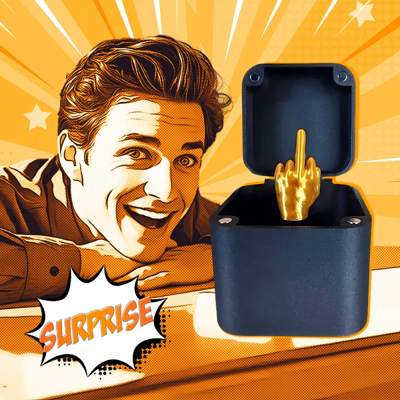 Custom Text Middle Finger in A Box Middle Finger Surprise Gift Box Just ...